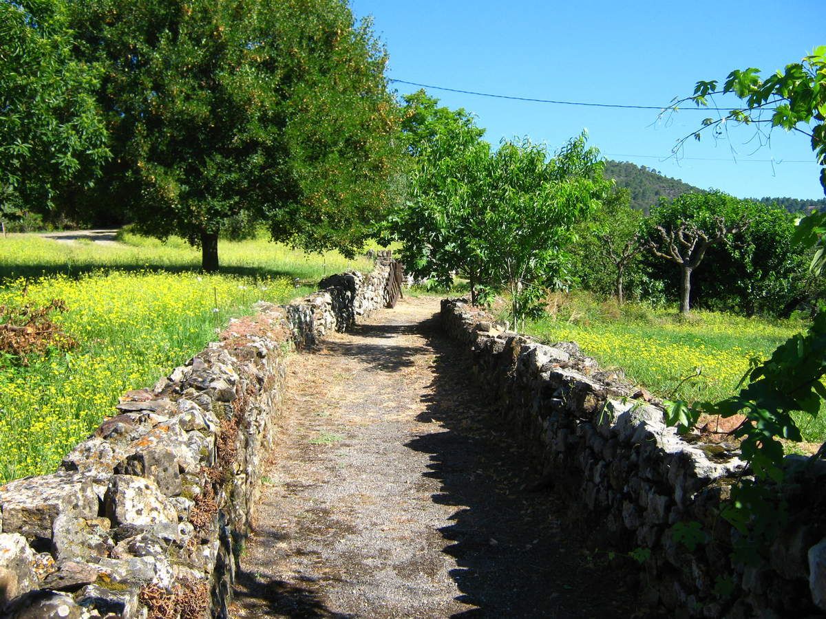 GR 70 - STEVENSON / PARTIE 4 : LES CEVENNES - THE rando-blog of Aurél