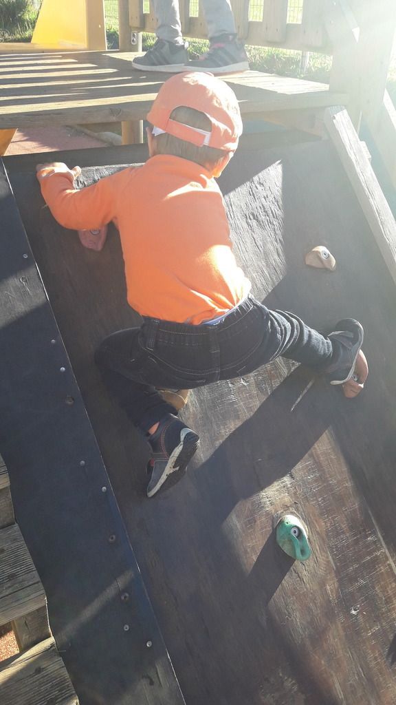 intelligence kinesthésique - CéMa classe