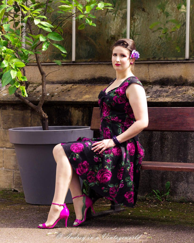 Les roses sont violettes, et les violettes sont de sortie ...