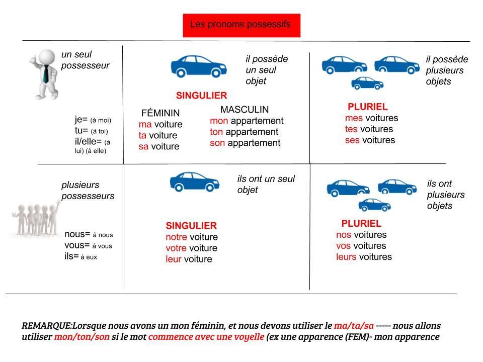 Les pronoms possessifs - Français...Pourquoi faire?