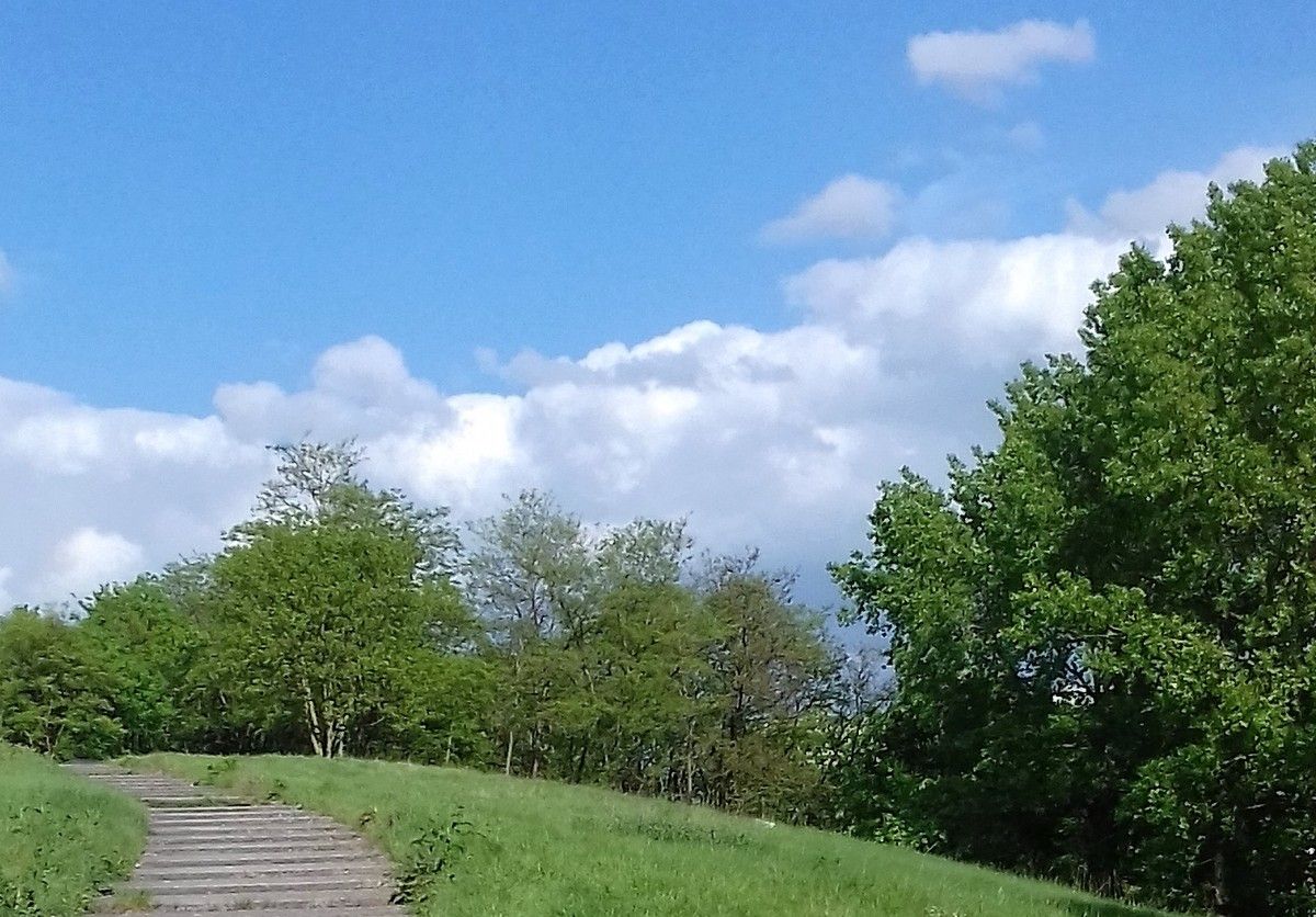 Dieu est le Seigneur de toute la création - Dieu Tout-Puissant est le ...