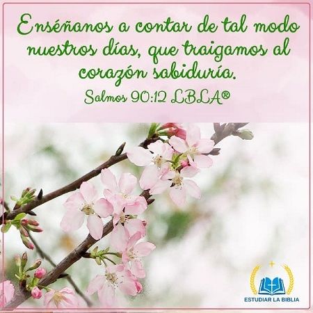 Imágenes Cristianas | Versículo de la Biblia-Salmos 90:12