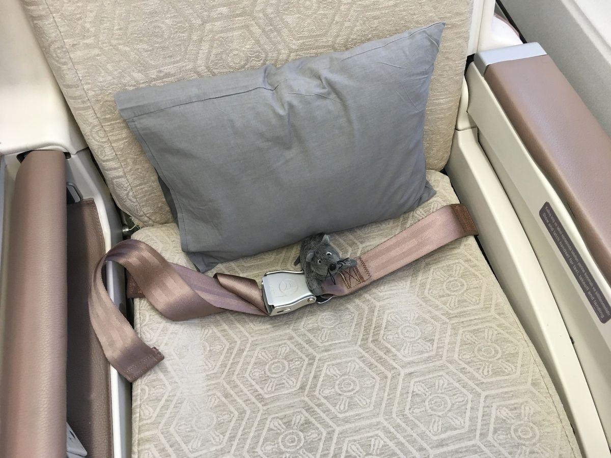 Craquotte en Egypte. Le soleil, la mer et le désert. - Notre projet ...