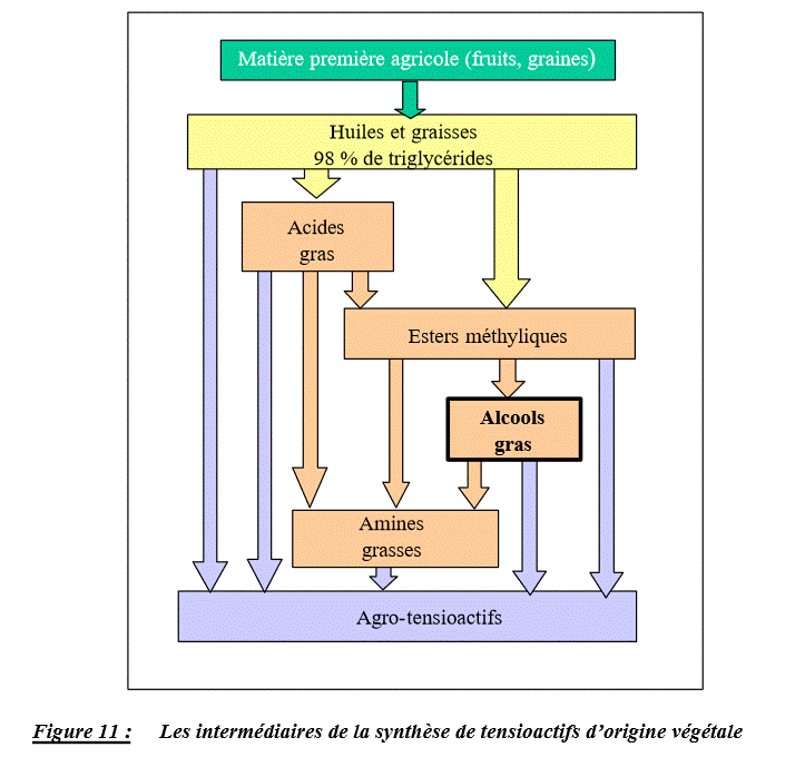 LES TENSIOACTIFS - mesrecettesdiy.over-blog.com