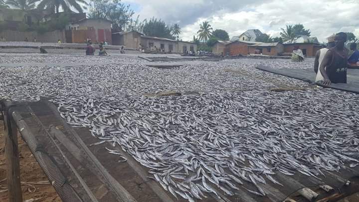 Image du jour: Bonne pêche de Ndagala cette nuit à Rumonge - Agence ...