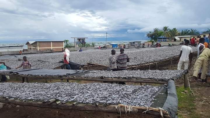 Image du jour: Bonne pêche de Ndagala cette nuit à Rumonge - Agence ...