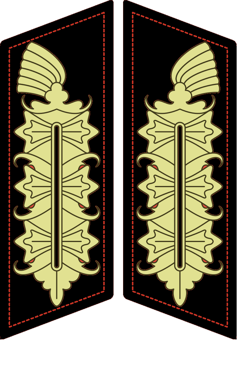 Reichsmarschall rank - anotherdoor.over-blog.com