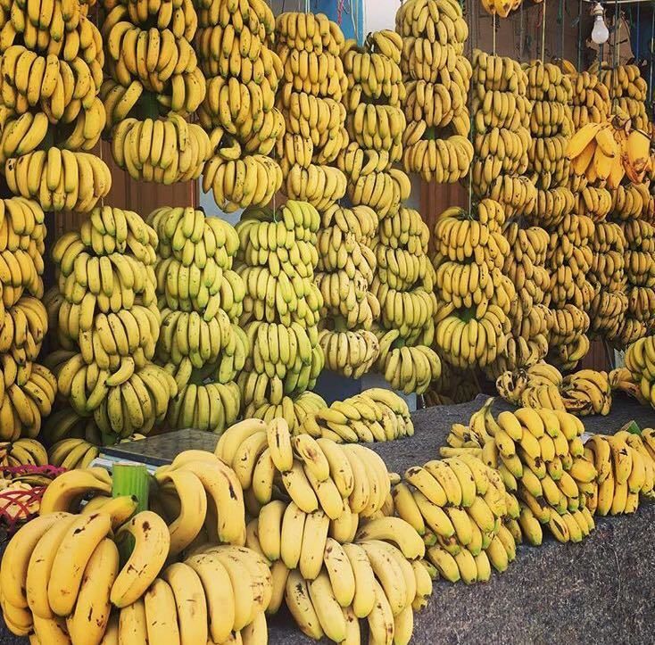 Banana village, Banana beach Origine du mot - Aourir Banana Village