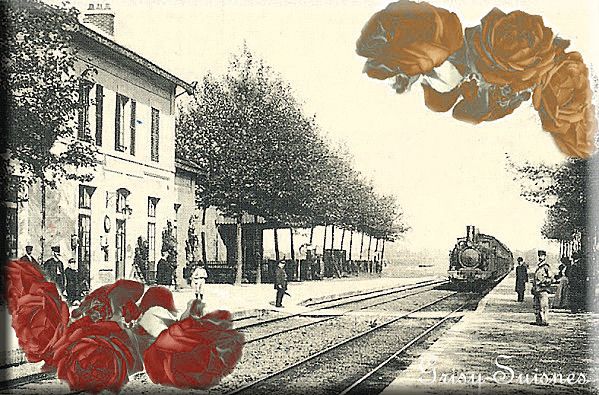 LE TRAIN DES ROSES - La Vallée de l'Yerres, le Plateau Briard par ...
