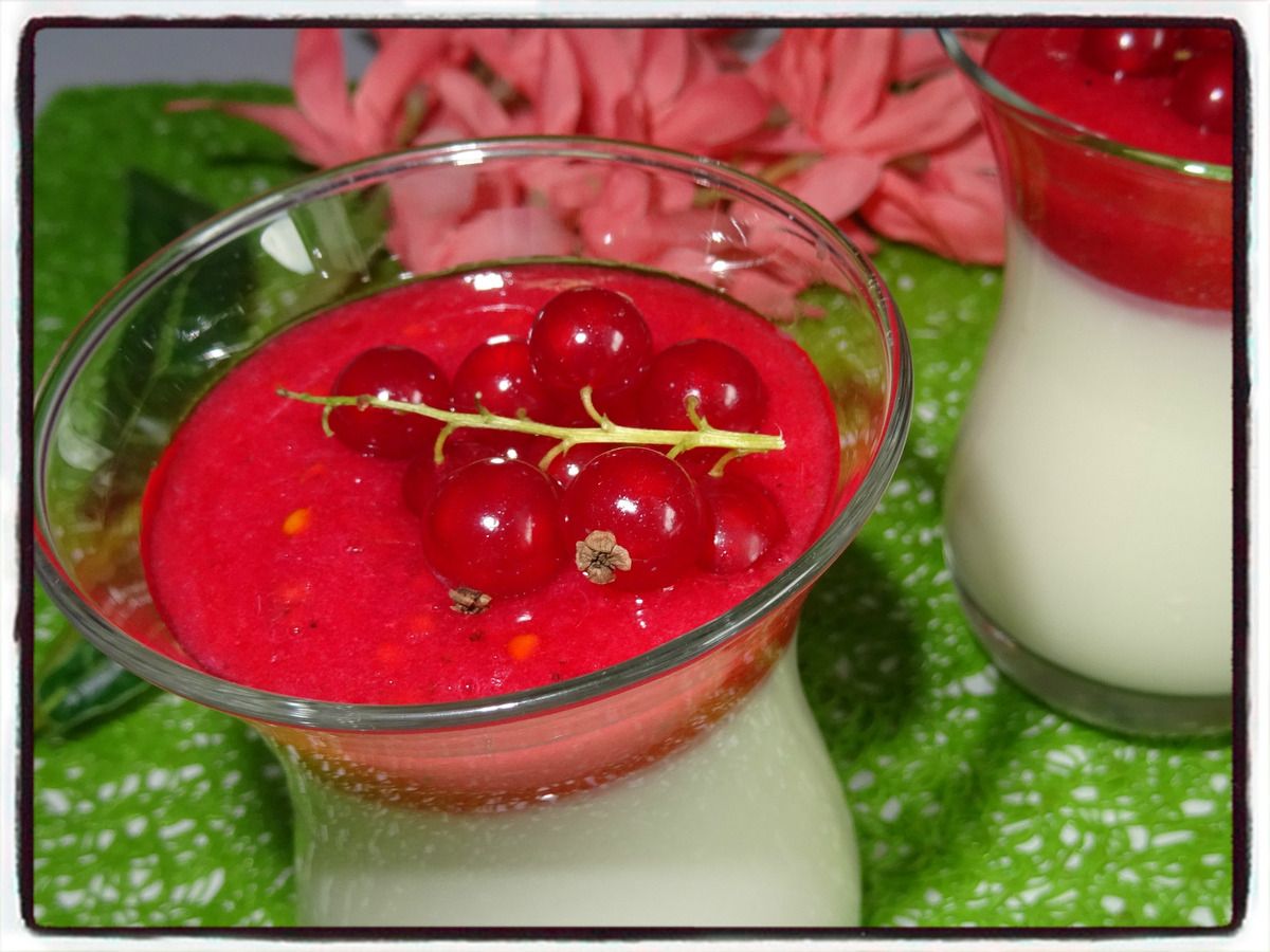 Pana cota au coulis de groseille - Recettes faciles - Les gâteaux de Stéph