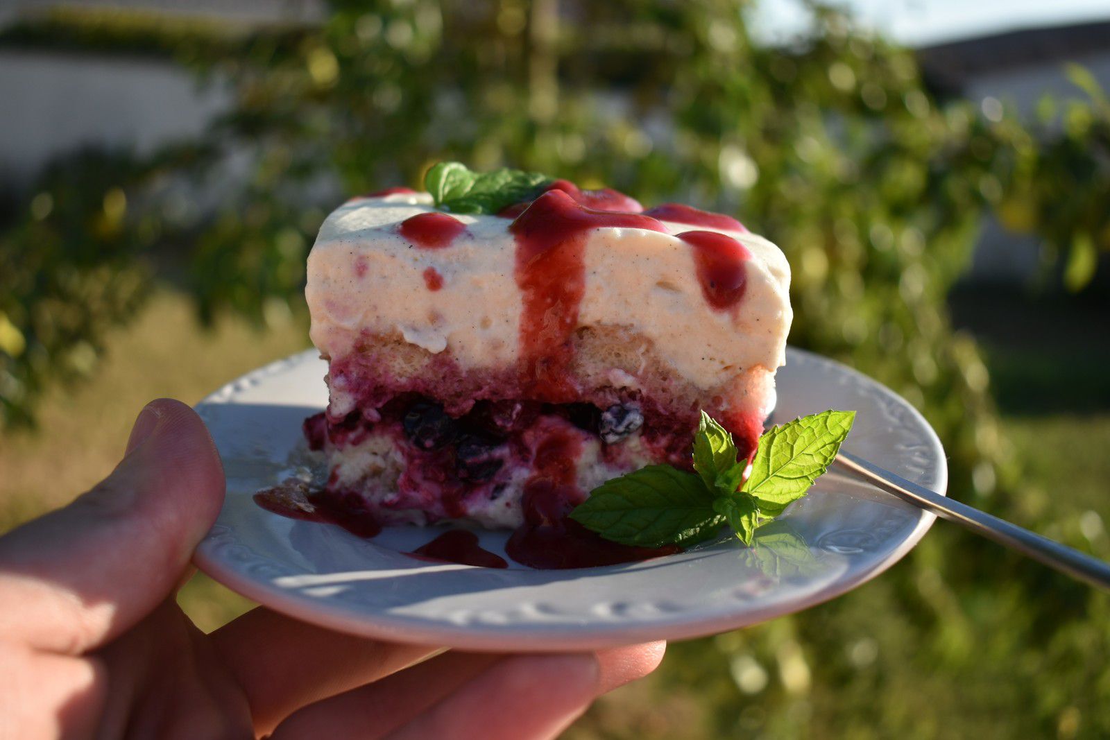 Tiramisu aux fruits rouges - Ramène ta fraise