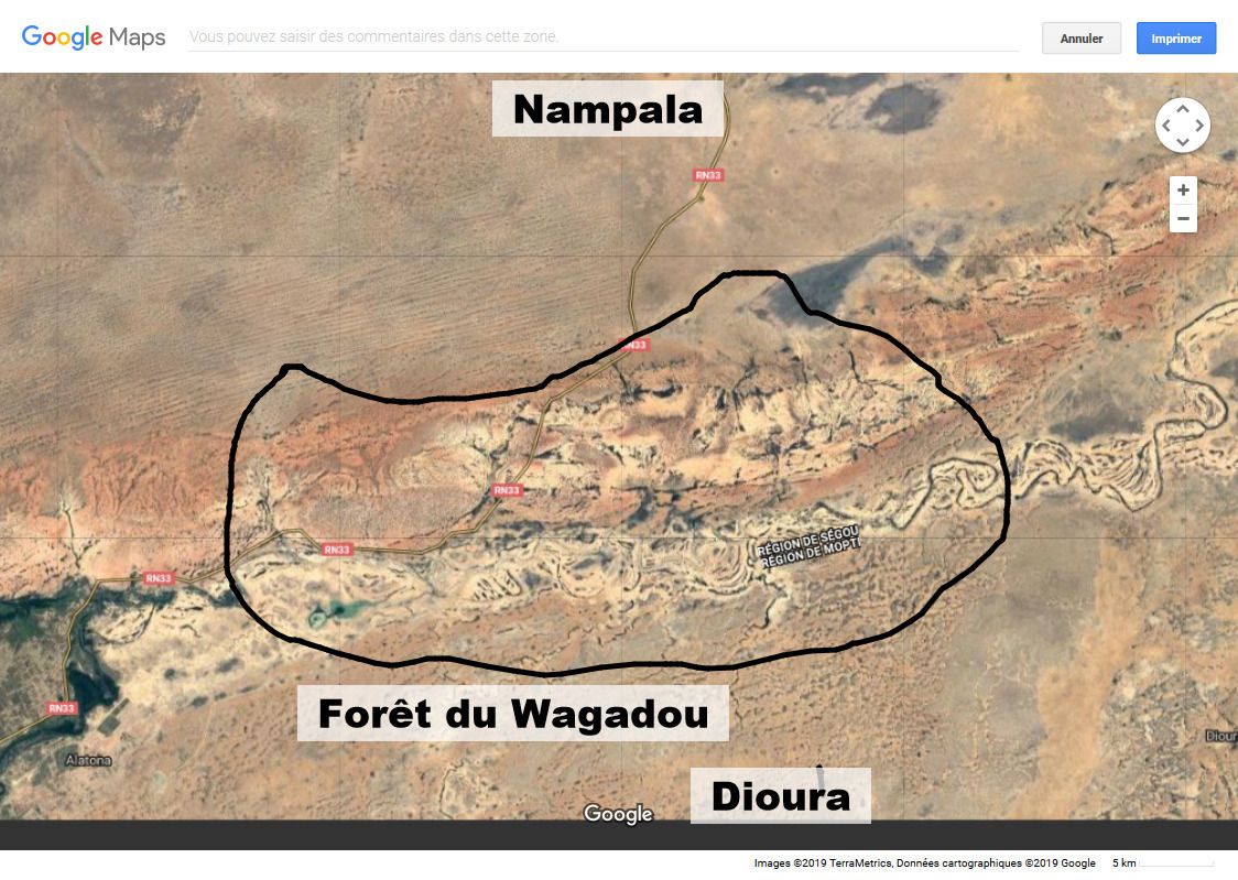 Forêt du Wagadou - histoiresahelienne.over-blog.com