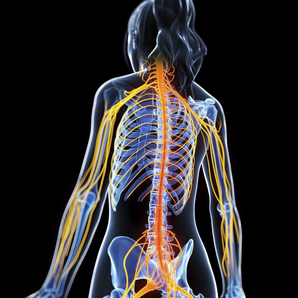 C'EST QUOI LA DIFFÉRENCE ENTRE TONUS ET FORCE MUSCULAIRE? - jailesnerfs.com