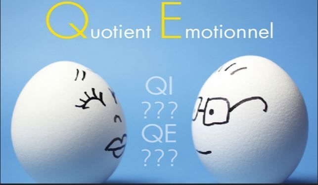 Différence entre QI et QE... - aux-pierres-de-la-lune.over-blog.com