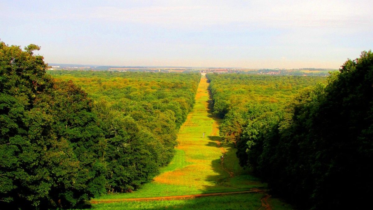 la Forêt de Compiègne - en forêt de Compiègne