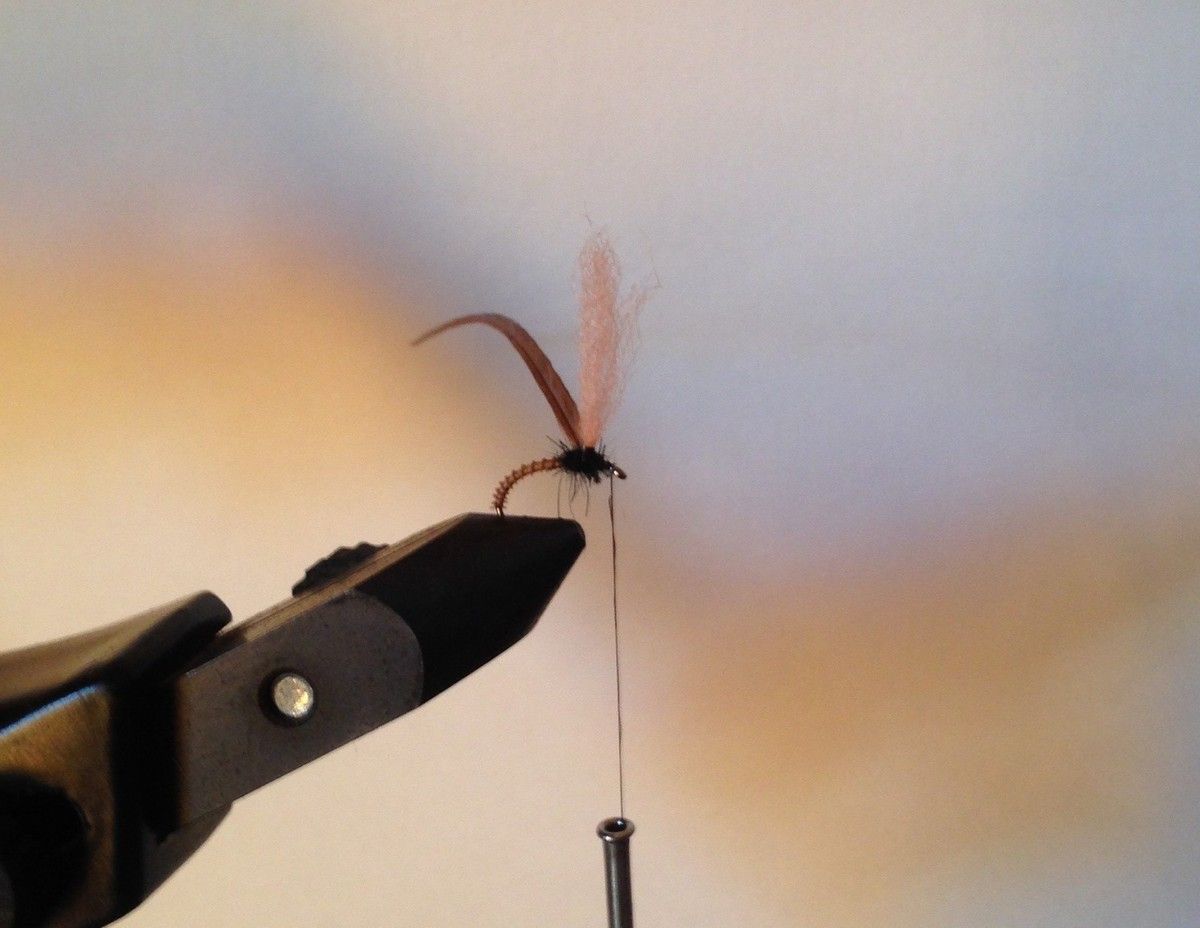 Klinkhammer roux - flofly.over-blog.com