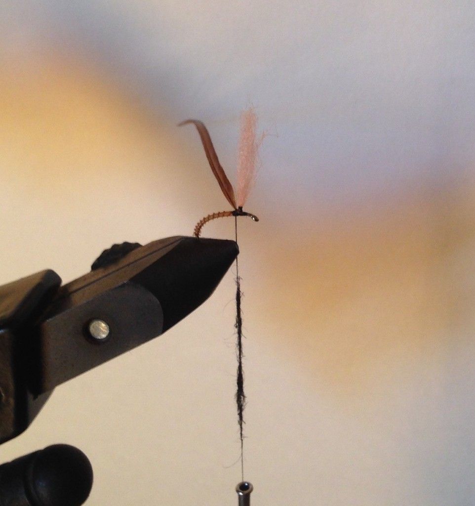 Klinkhammer roux - flofly.over-blog.com