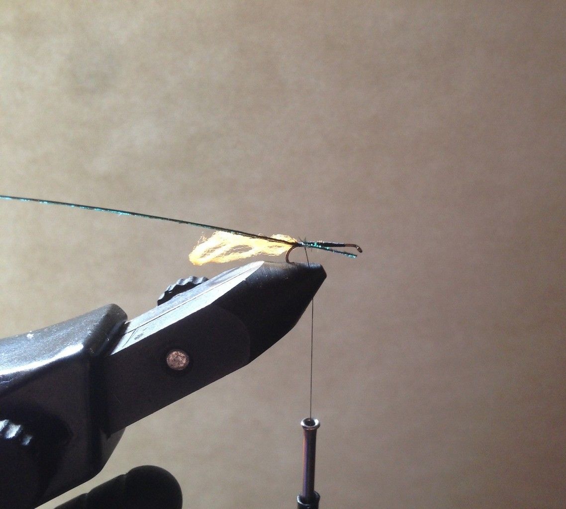 Orange tag Cdc - flofly.over-blog.com