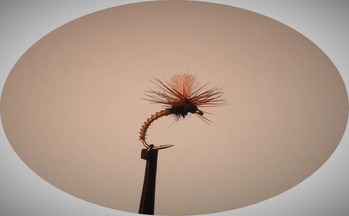 Klinkhammer roux - flofly.over-blog.com