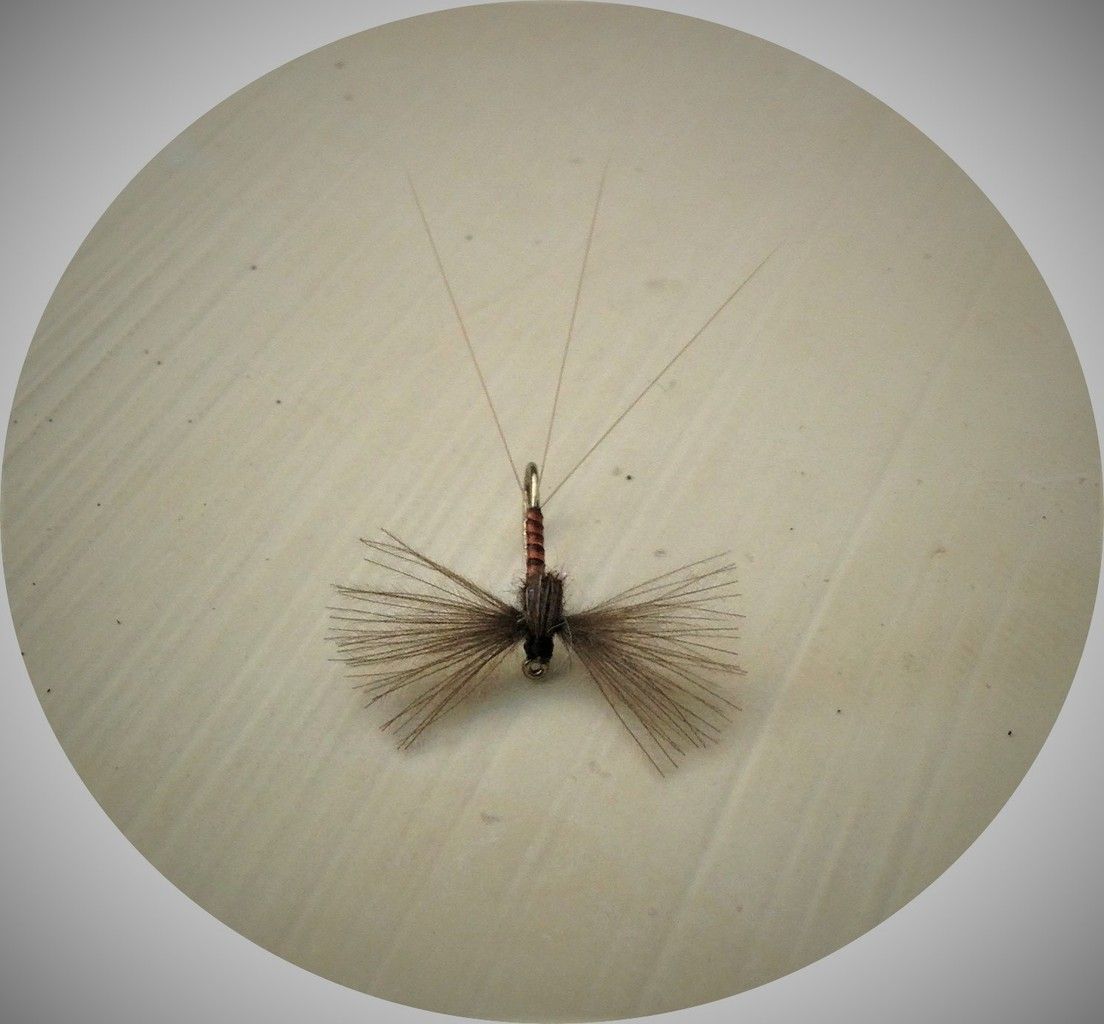 Spinner cdc - flofly.over-blog.com