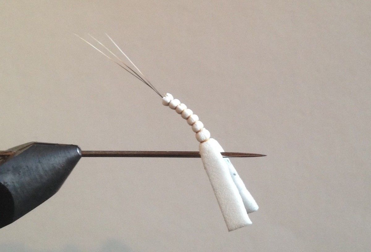 Mayfly extented body, Part 1: The extended body - flofly.over-blog.com