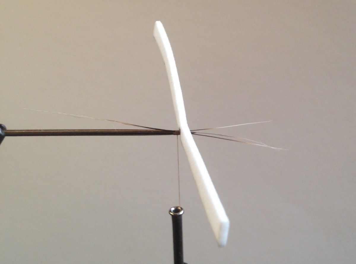 Mayfly extented body, Part 1: The extended body - flofly.over-blog.com