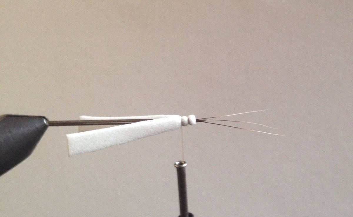 Mayfly extented body, Part 1: The extended body - flofly.over-blog.com