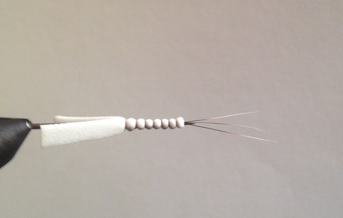 Mayfly extented body, Part 1: The extended body - flofly.over-blog.com