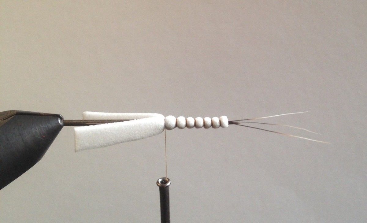 Mayfly extented body, Part 1: The extended body - flofly.over-blog.com