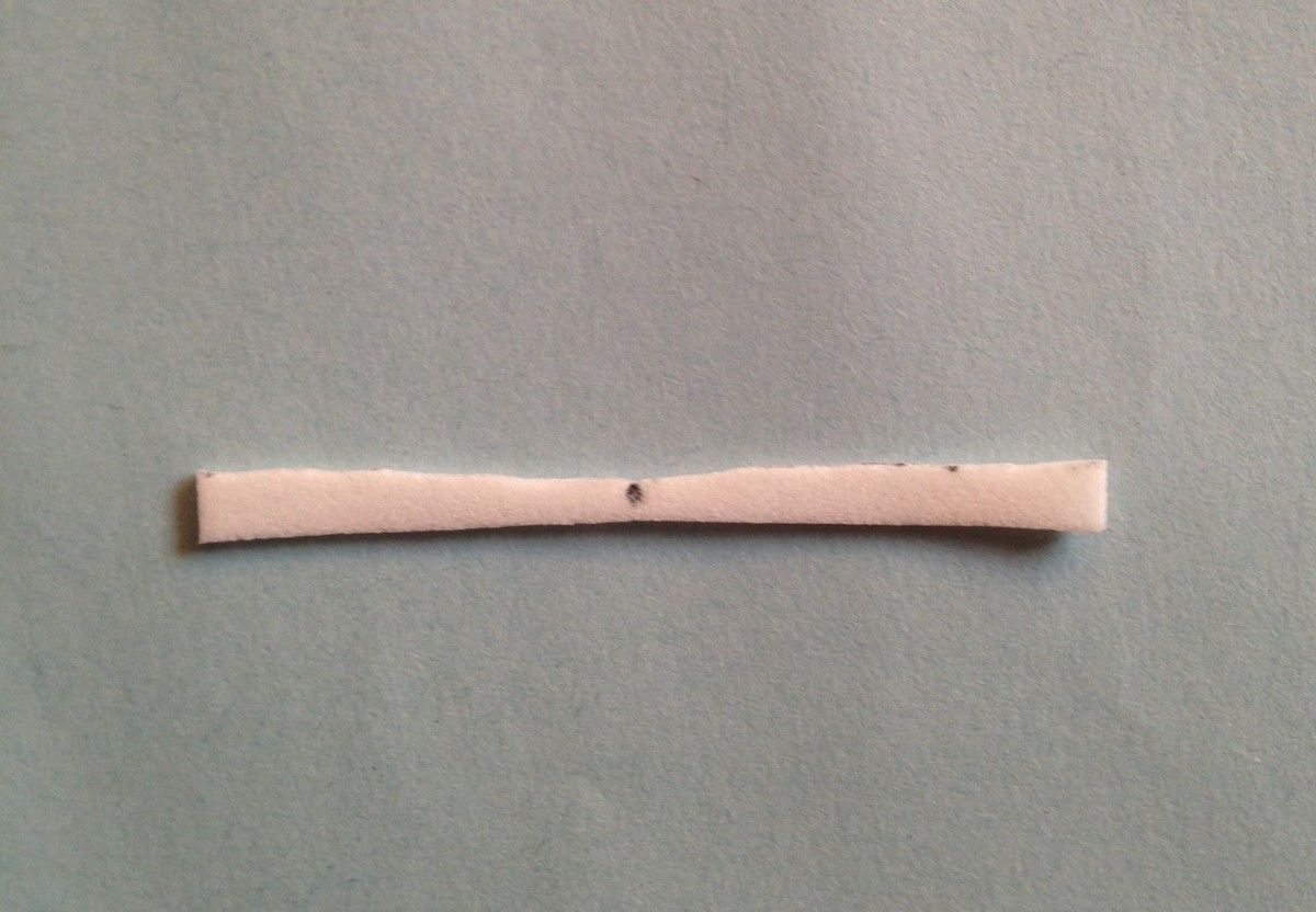 Mayfly extented body, Part 1: The extended body - flofly.over-blog.com