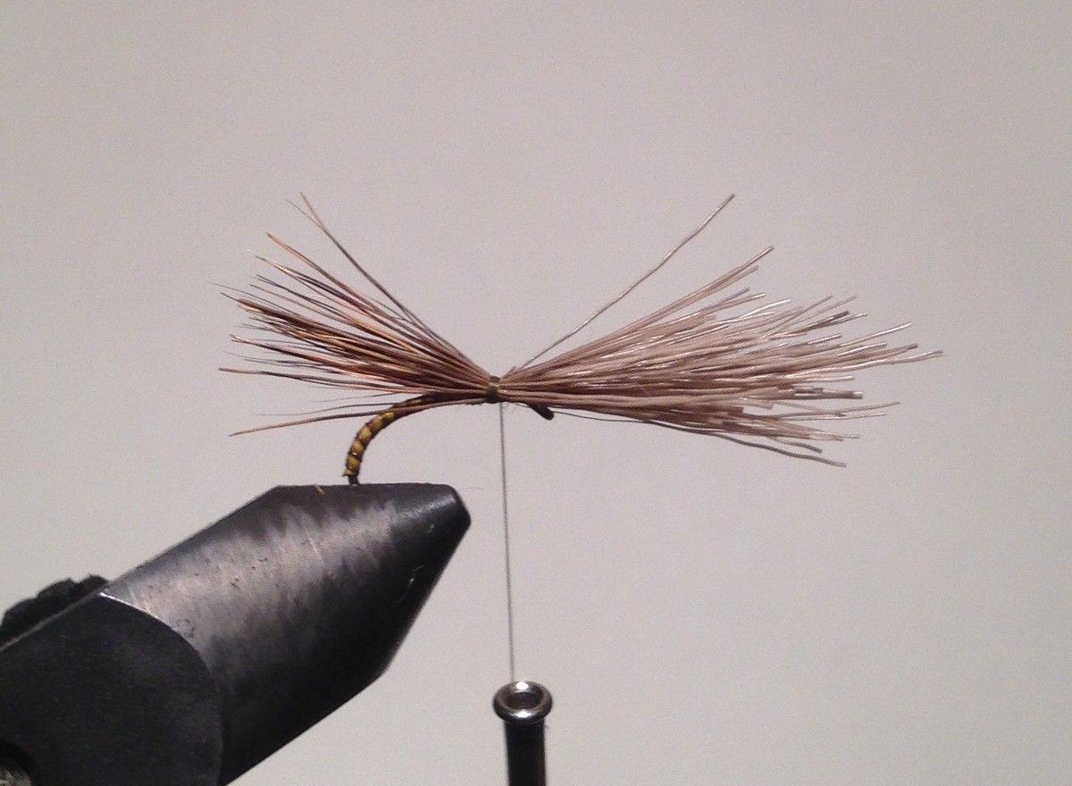 La pose d'aile en chevreuil - flofly.over-blog.com