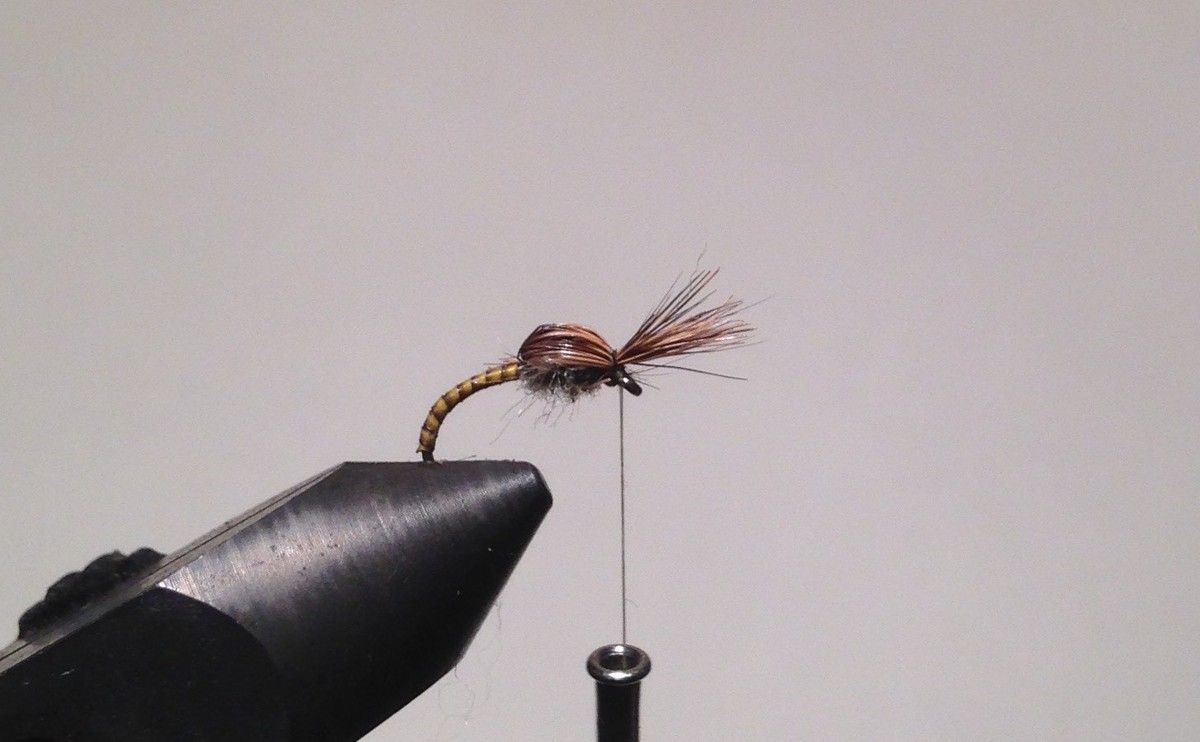 La pose d'aile en chevreuil - flofly.over-blog.com