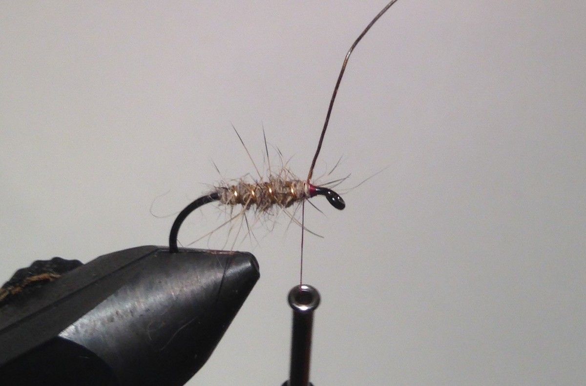 Hare and woodcock - flofly.over-blog.com