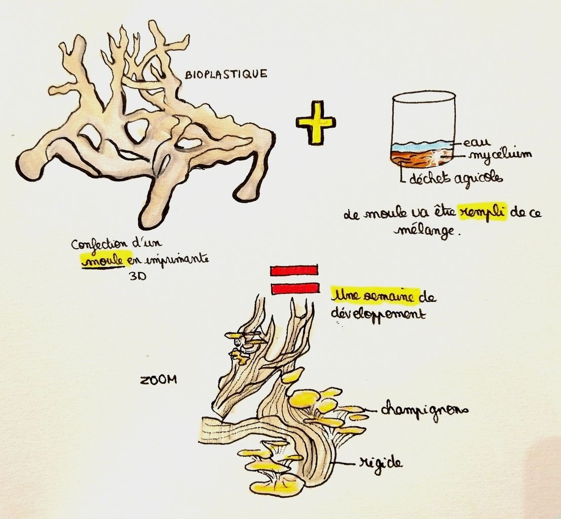 MYCELIUM CHAIR, studio Klarenbeek & Dros, 2019 - Collecte d'actualité ...