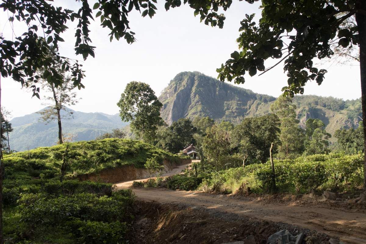 Sri Lanka : Small Adam's Peak - Gérard Pattein