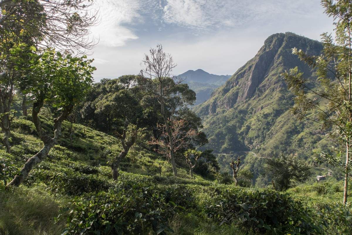 Sri Lanka : Small Adam's Peak - Gérard Pattein