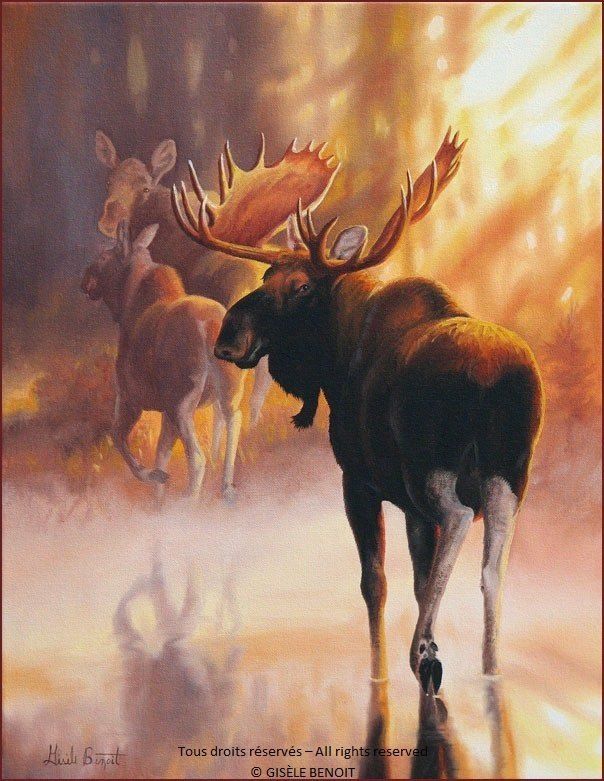 Gisèle et Monique Benoit (Canada) artistes peintres et naturalistes ...