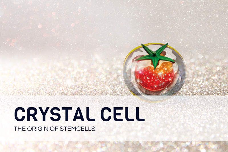 CRYSTAL CELL - all4phytoscience.over-blog.com