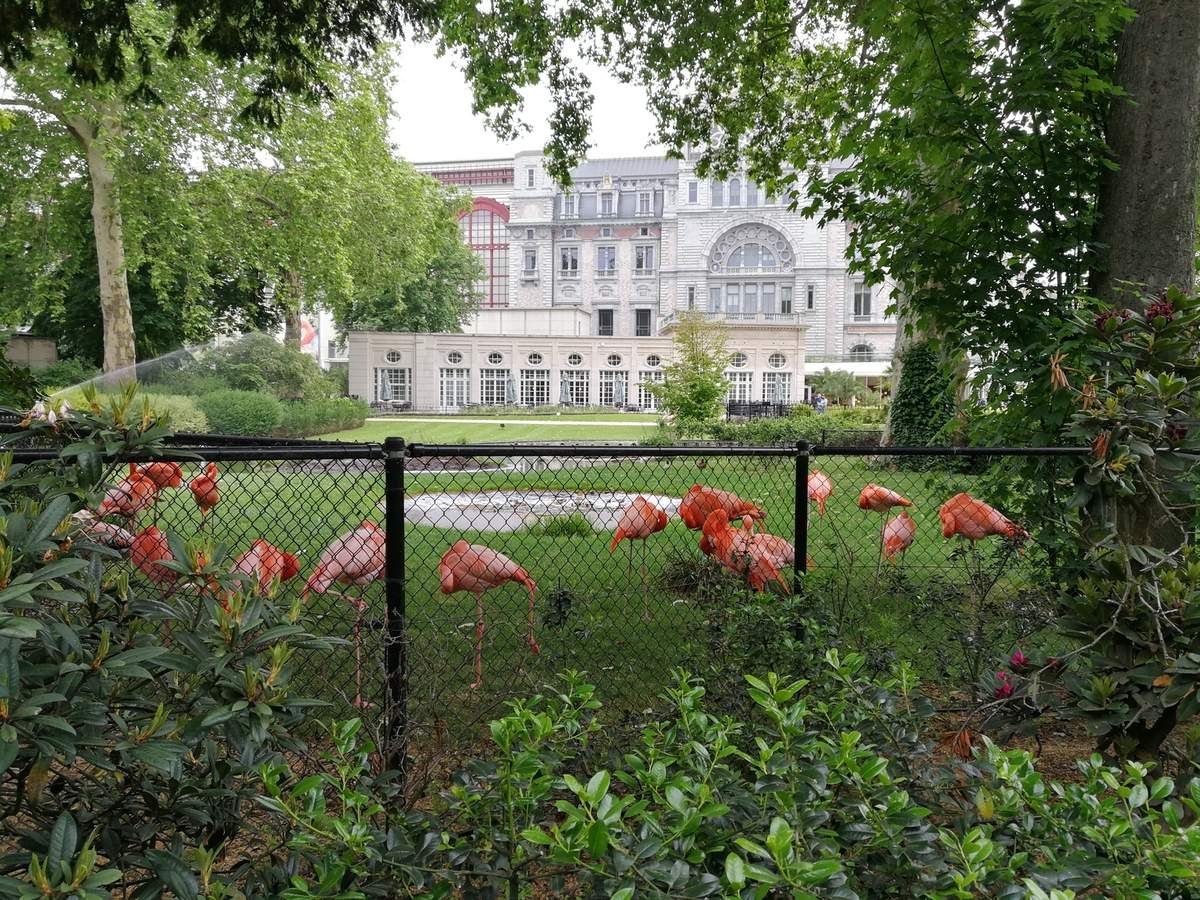 Voyage au Zoo d'Anvers - Les Amis des Oiseaux de Nomain