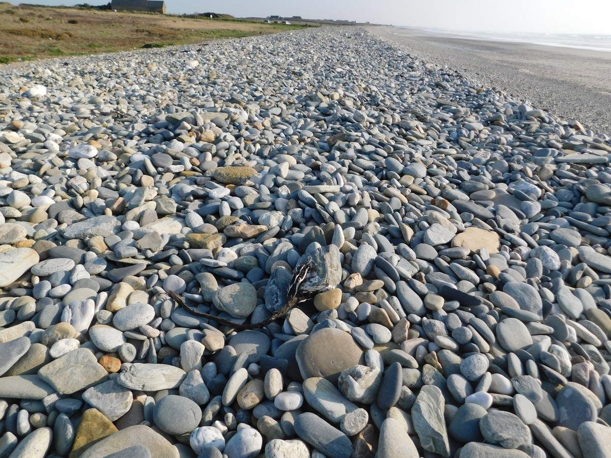 Comment des galets se retrouvent sur les plages. - Laisses de mer et ...