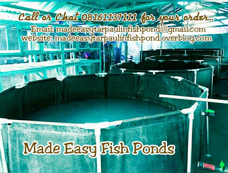 HOW TO QUICKLY DETECT OR SUSPECT CRACK HEAD DISEASE AT ITS EARLIEST ...