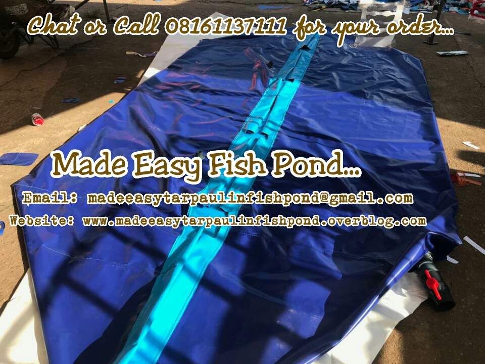 HOW TO QUICKLY DETECT OR SUSPECT CRACK HEAD DISEASE AT ITS EARLIEST ...