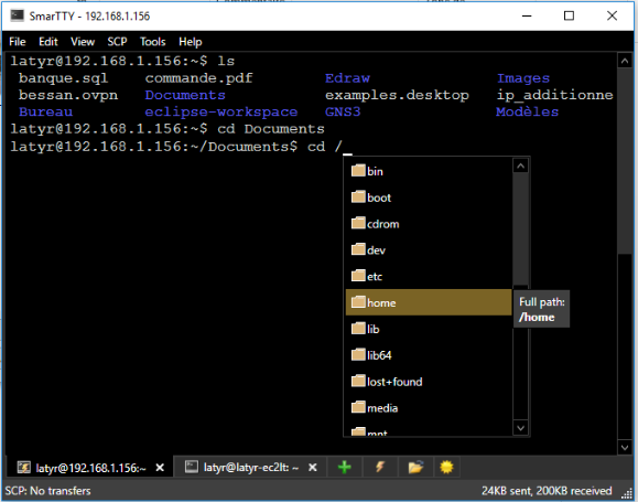 SSH client : SmarTTY - Networks and Telecommunications Services