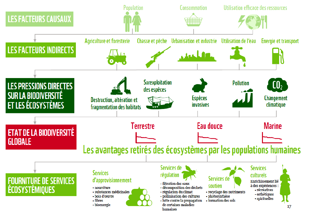 La croissance économique est-elle compatible avec la préservation de l ...