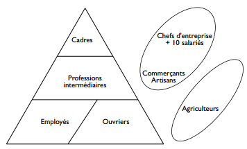 Comment la socialisation contribue-t-elle à expliquer les différences ...