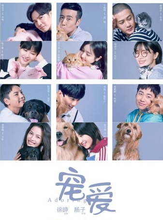 《宠爱》电影 2019「Adoring」完整版在线播放__最新电影视频—#1080p - 高清电影在线2019