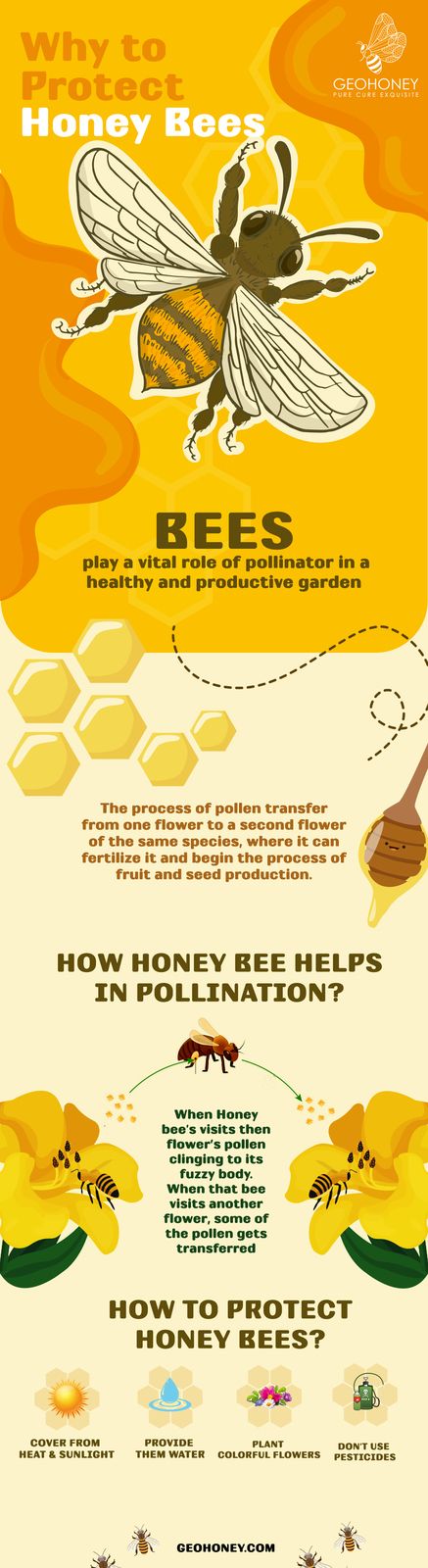 Know Why to Protect Honey Bees | GeoHoney - geohoney.over-blog.com Know Why to Protect Honey Bees | GeoHoney - geohoney.over-blog.com