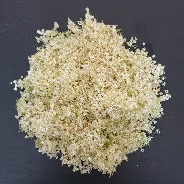 3 recettes avec des fleurs de sureau - Ouest Délices - Blog culinaire