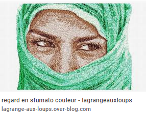 LA BRODERIE SFUMATO -LOGIICIEL EMBIRD - blog de Mamzelle Inès Créations