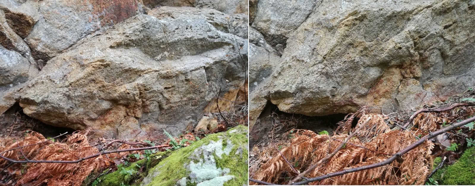 La Calvière, la piste au cœur de Sougraigne et de Bugarach partie 1 ...